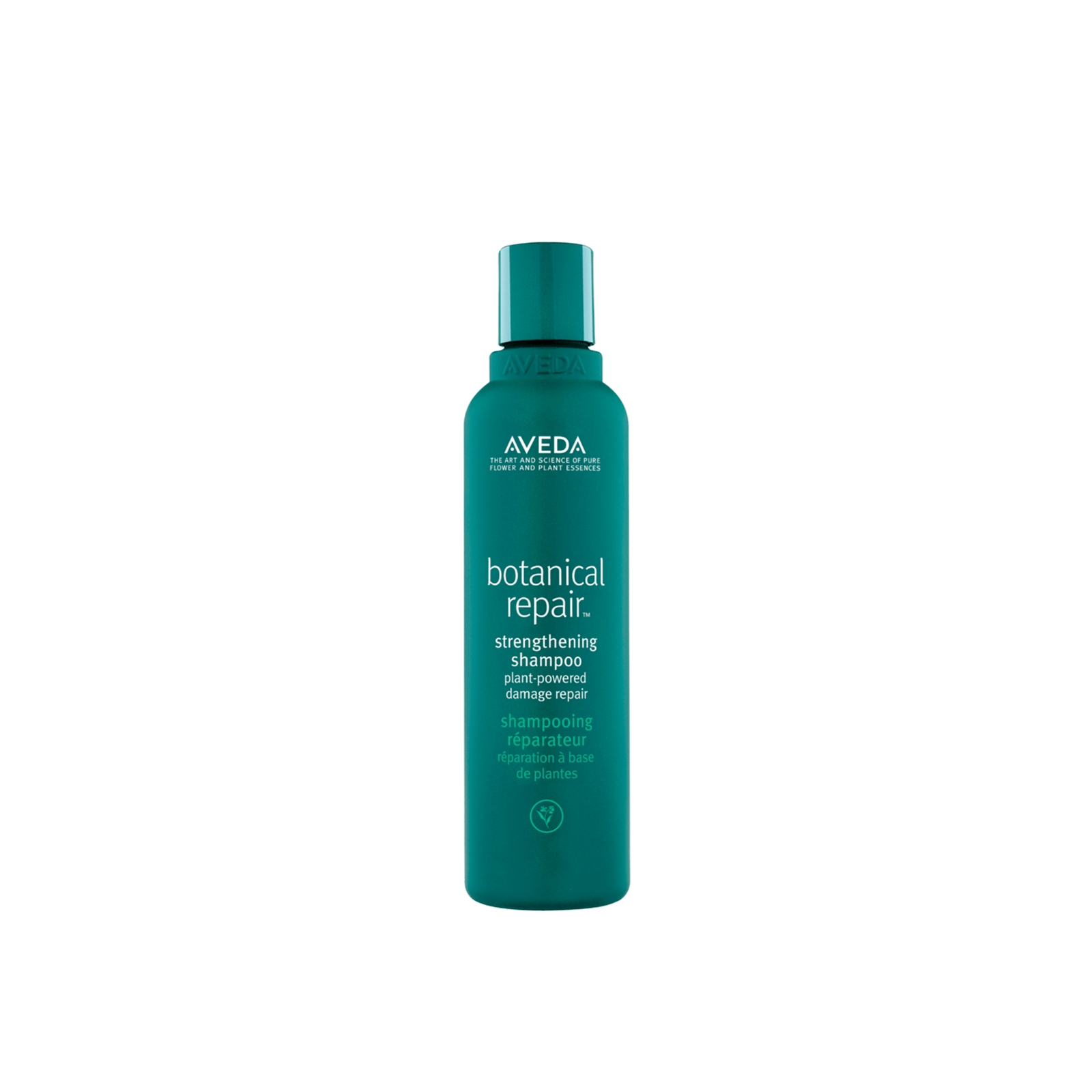 Aveda Botanical Repair Strengthening Shampoo Jordan