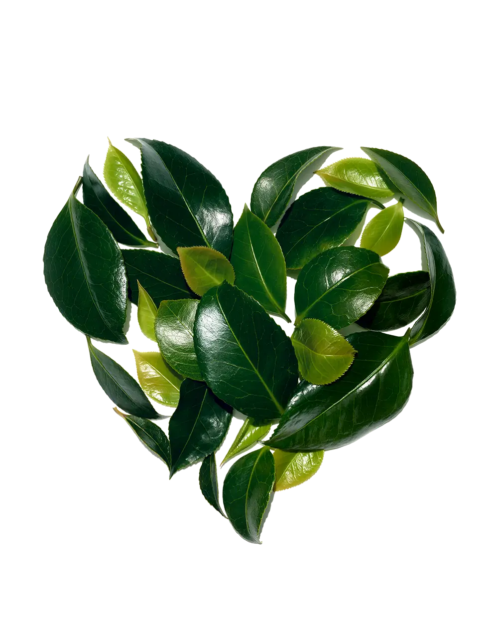 Clarins Kuwait · Buy Clarins Online · Care to Beauty